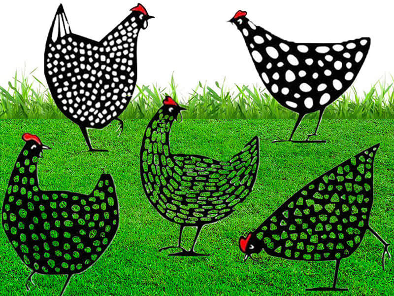 Enjoying Your Metal Cute Chicken In Outdoor Space